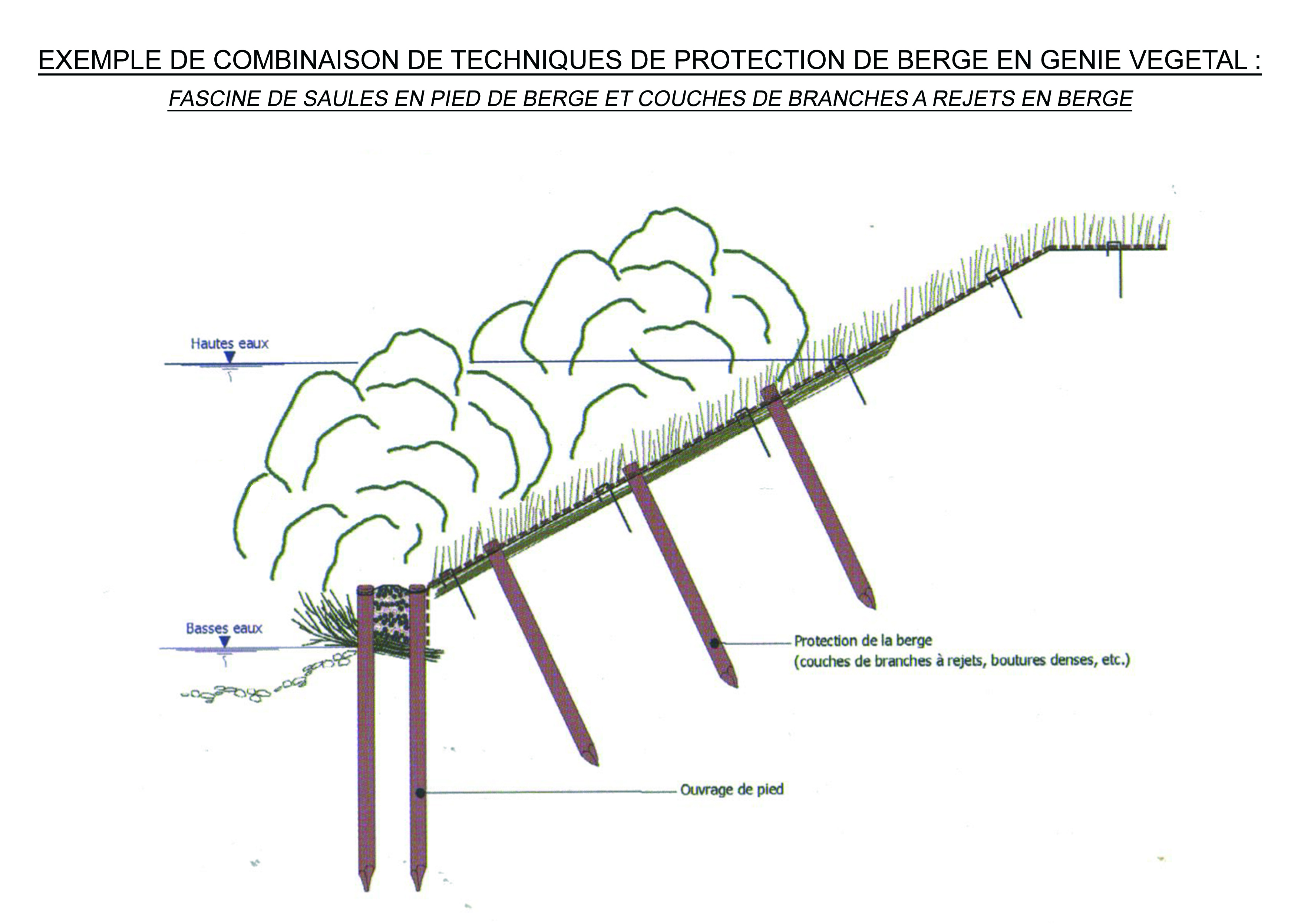 Smavas, conseils techniques pour réaliser une protection de berge