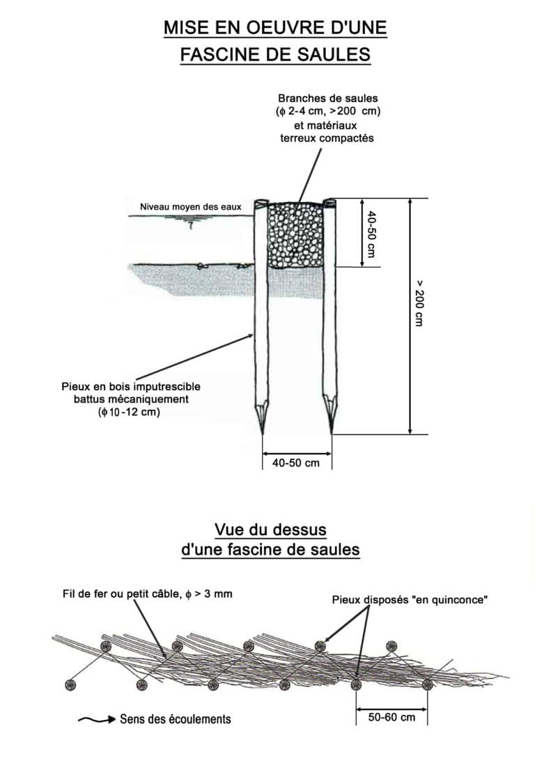 Mise en oeuvre d’une fascine